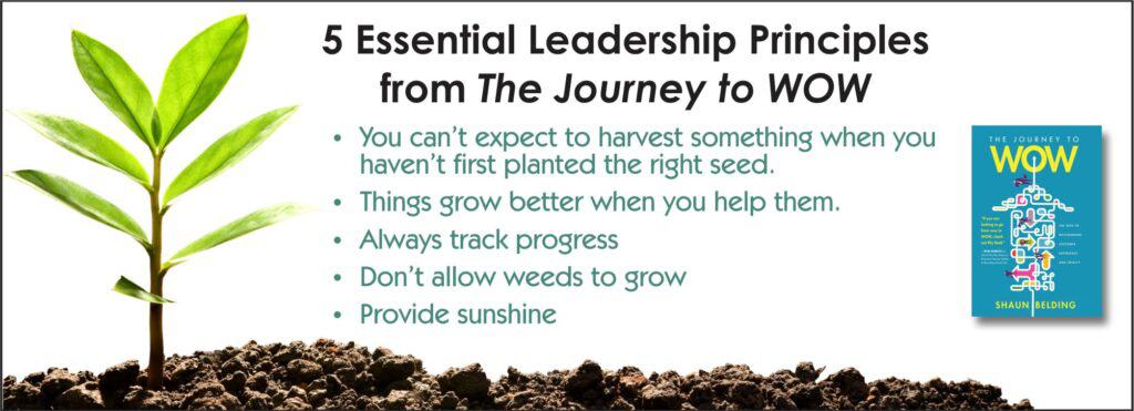 5 Principles for Leading Teams - Belding Training